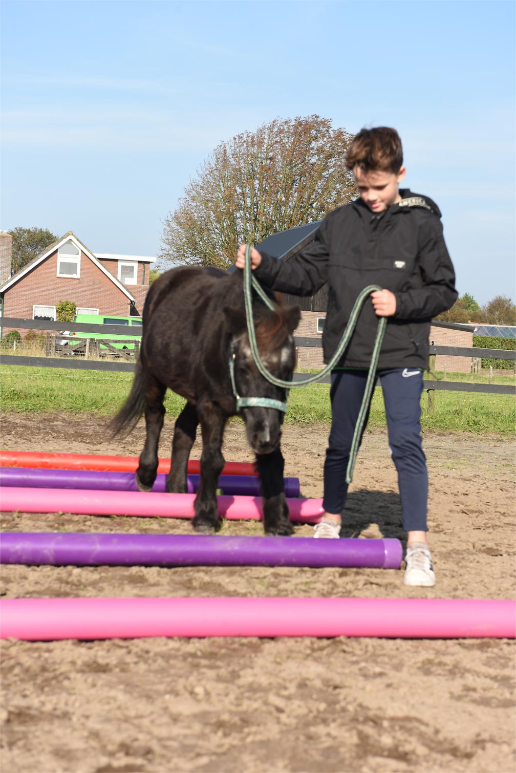 De methode | Happy Ranch Coaching